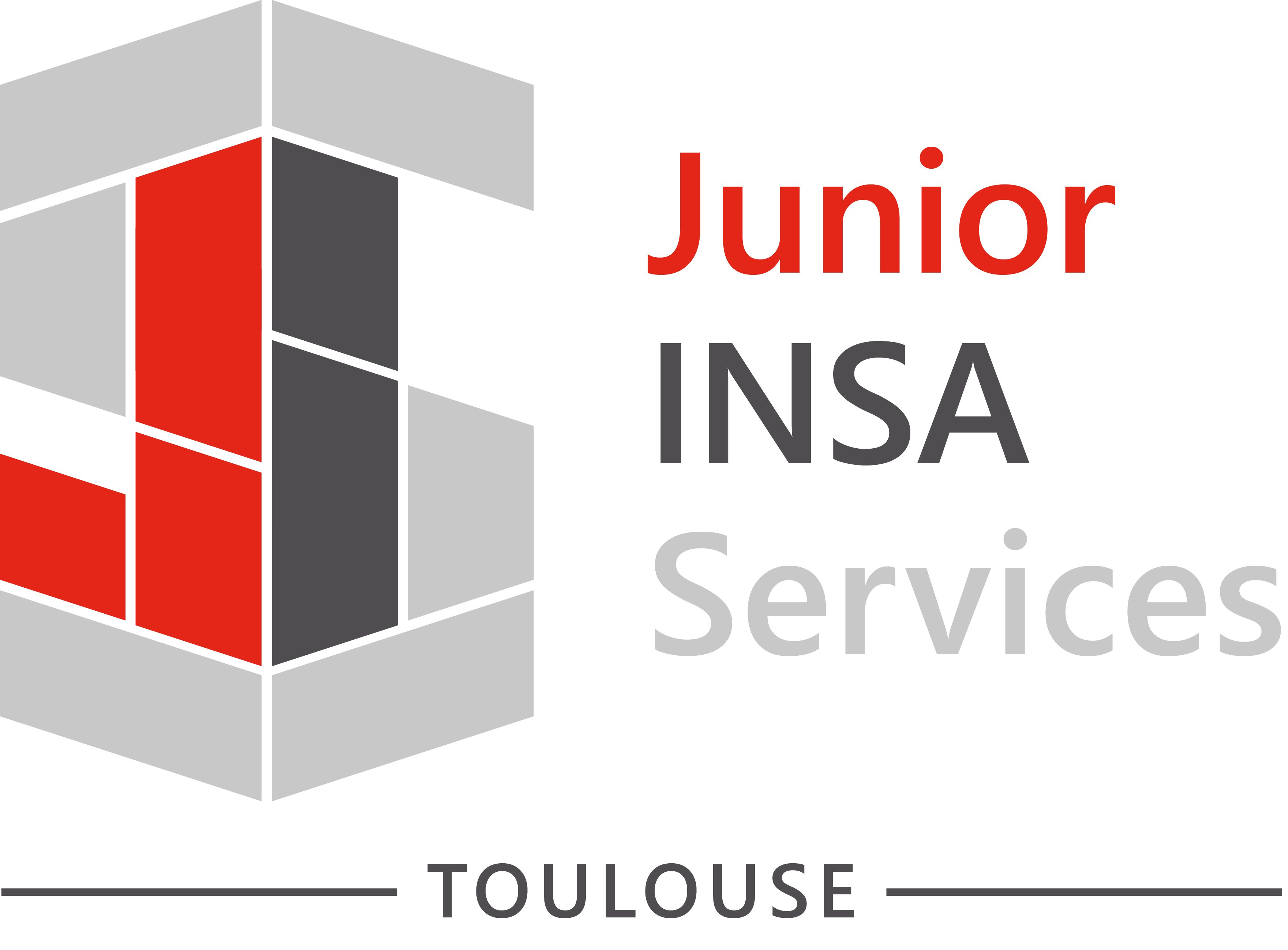 Junior INSA Services